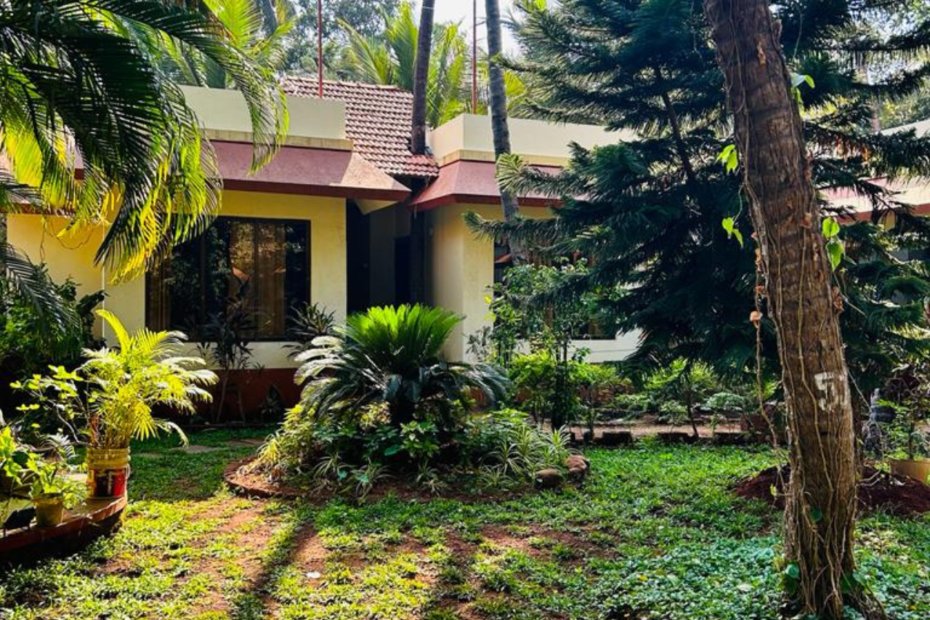 ABOUT US – Upper Deck